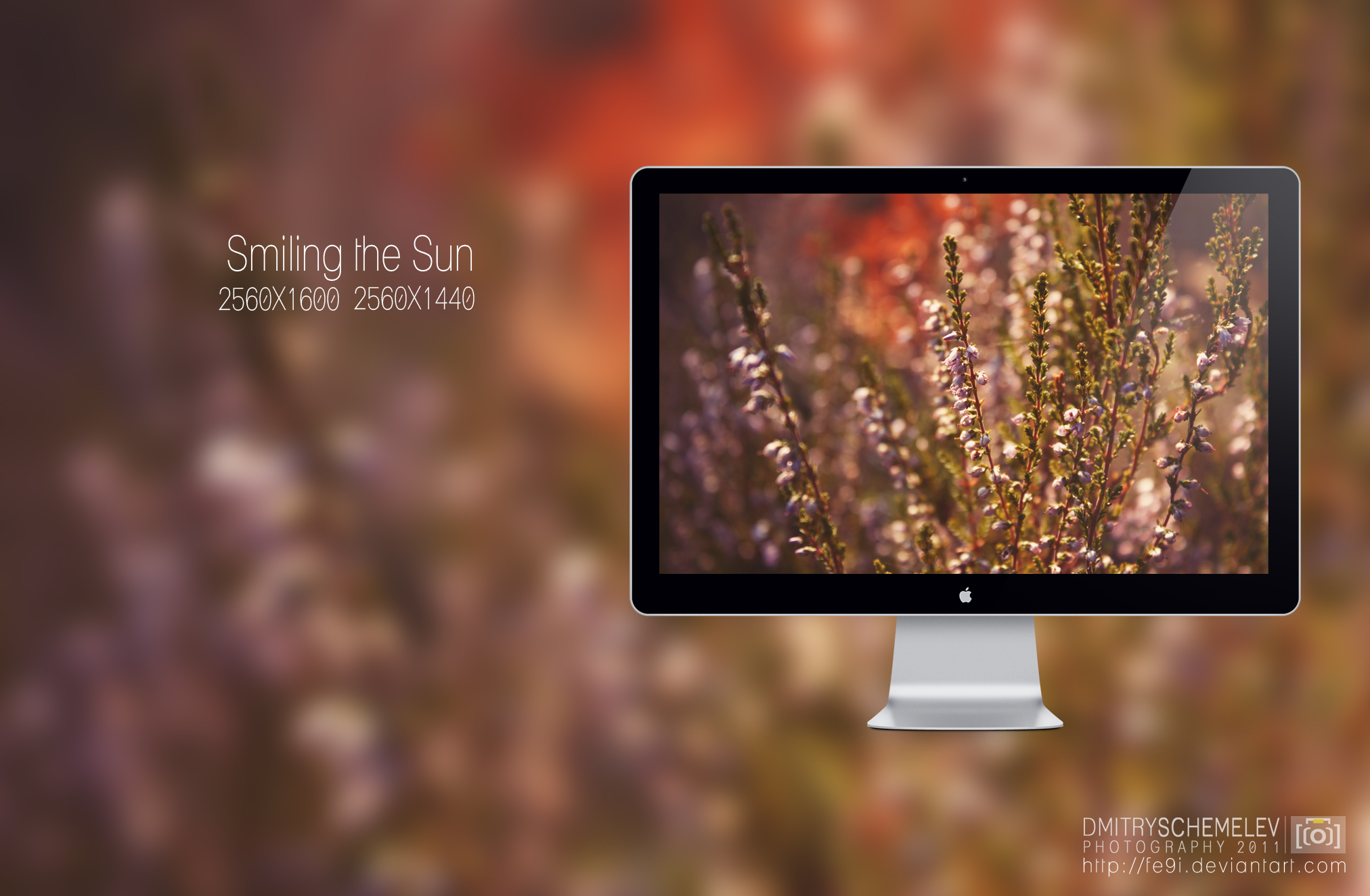 Smiling the Sun Wallpapers – Enable Windows Theme Customization